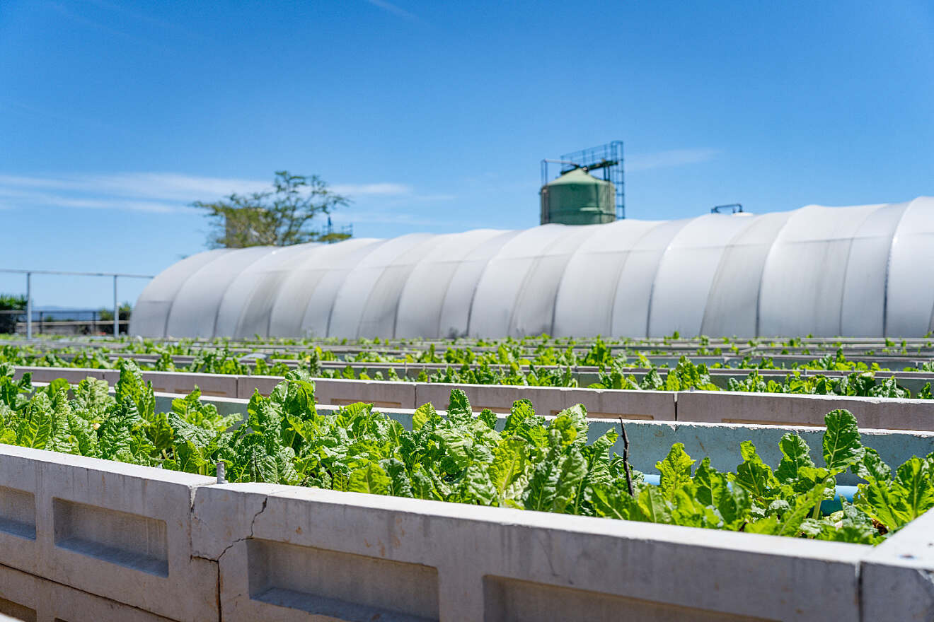 Water, energy and nutrient recovery from brewery wastewater. | Socrematic